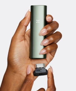 PAX Plus Vaporizer Kit Best Price and Review - Buy at $209