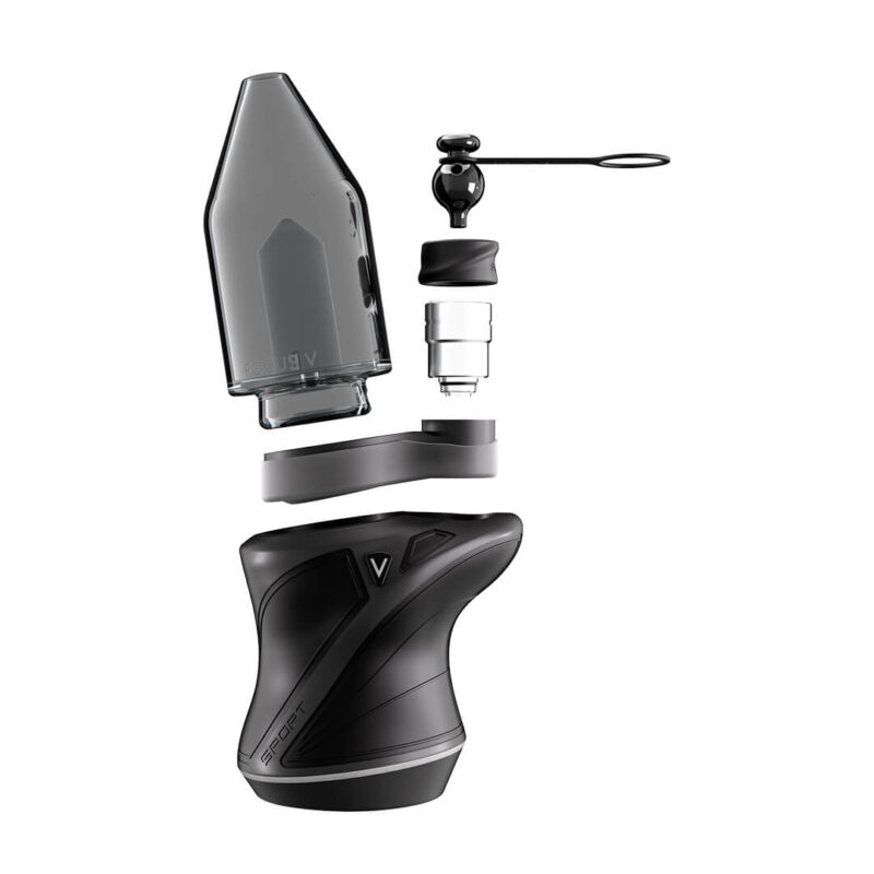 Focus V CARTA Sport - Buy at $199